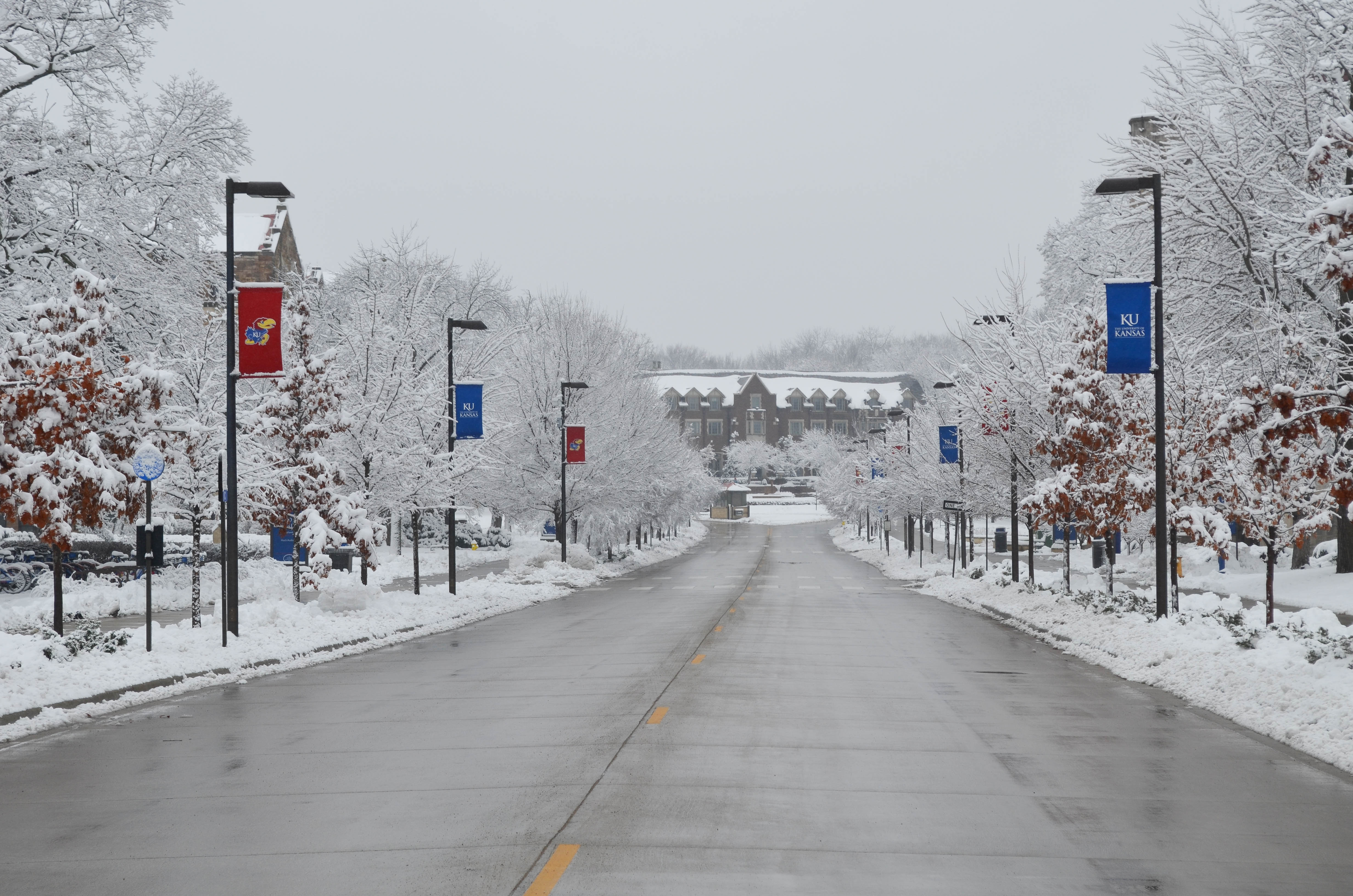 Photo gallery: Snowstorm blankets Lawrence | News, Sports, Jobs ...